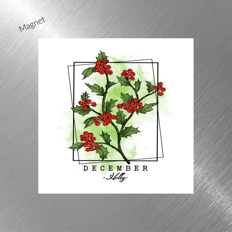 Magnet for December Birth Flower Magnet, Holly Magnet Birth Mont Gift ...