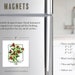 Magnet for December Birth Flower Magnet, Holly Magnet Birth Mont Gift ...