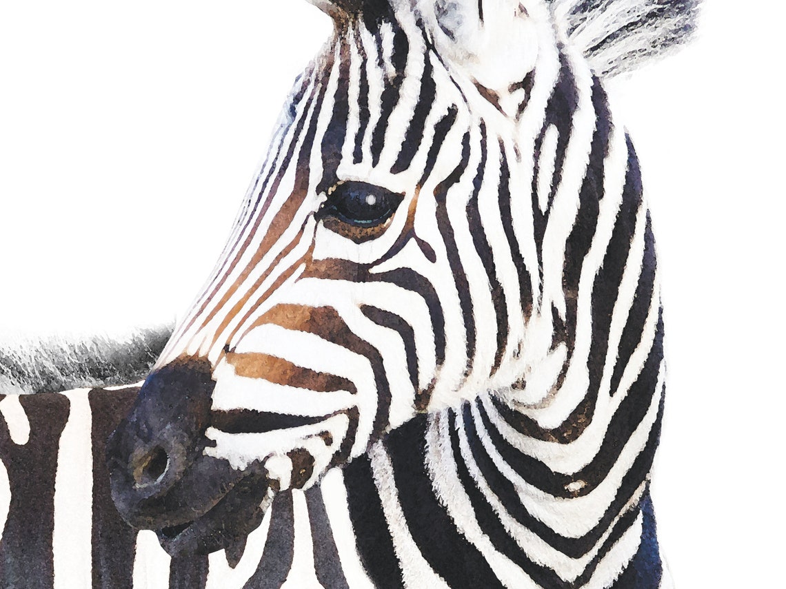 Baby Zebra Print Animal Print Safari Nursery Printable Wall | Etsy ...