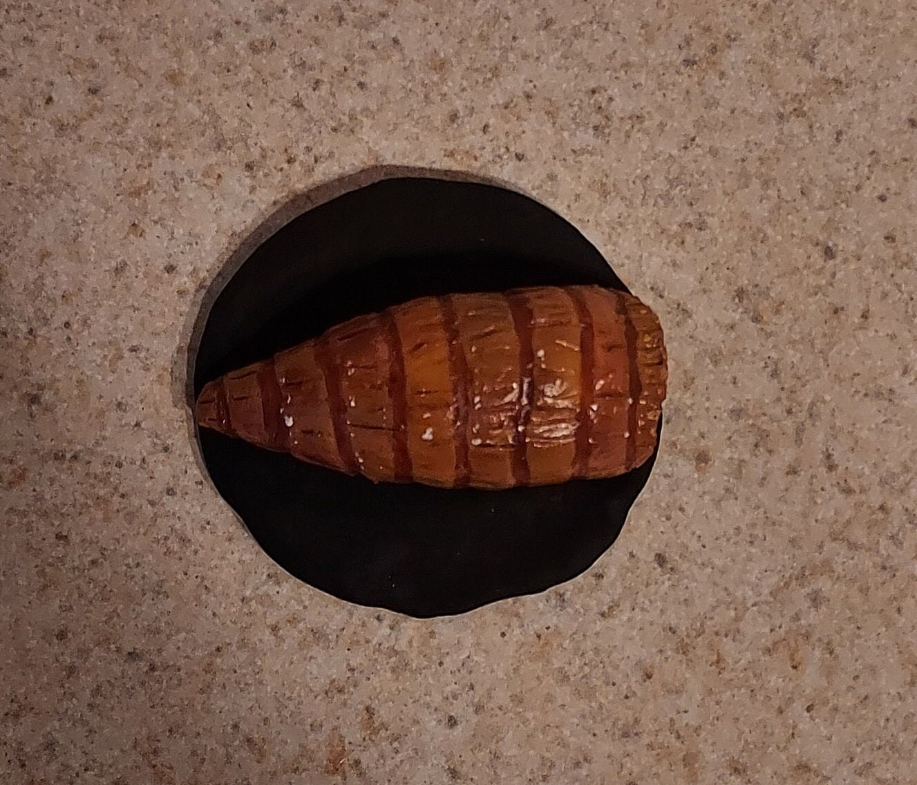 Clay Sculptures, Scary Sculptures, Apophis, Devouring Worm, Parasitic ...