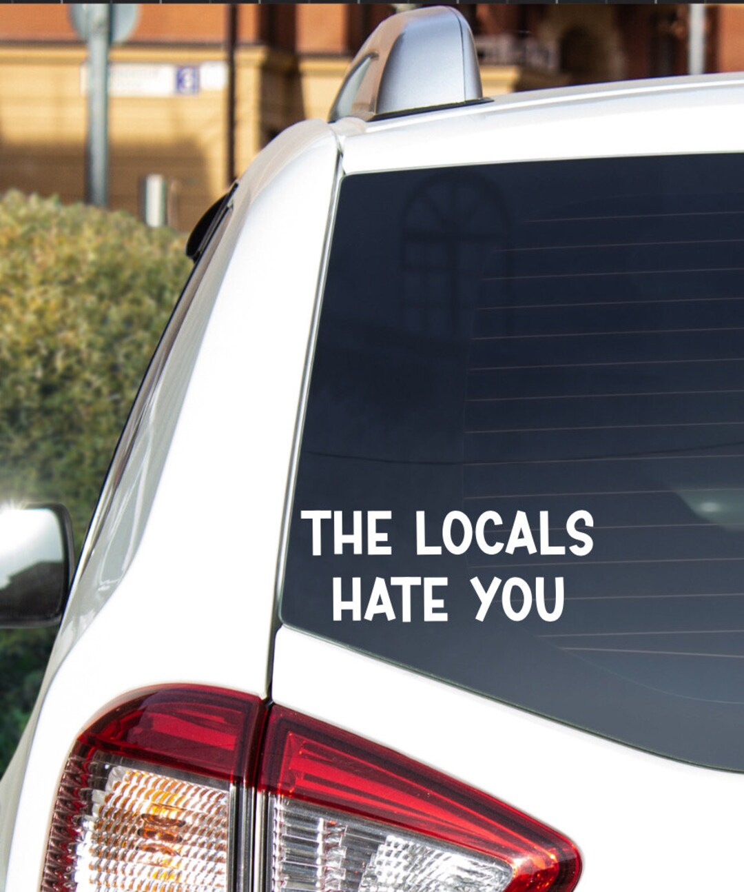 The Locals Hate You Car Decal. Snowbird Sticker. Funny Car Sticker ...