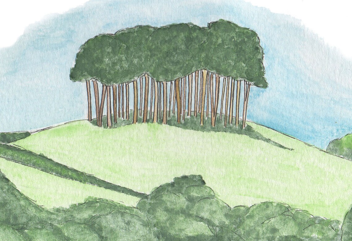 Cornish Art Nearly Home Trees Art Print - Etsy