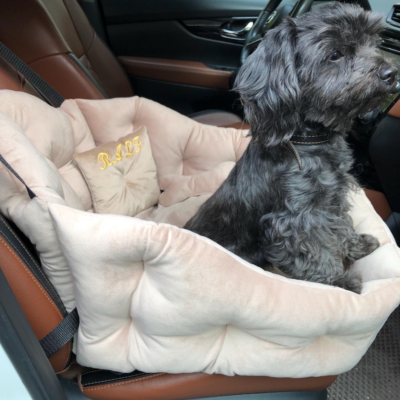 Dog Driving Car - Etsy