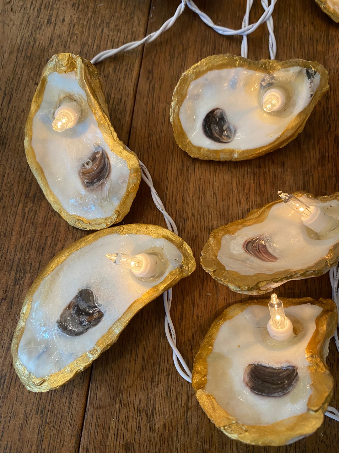 Oyster Shell Light Strand 15 Lights Plug-in Gold Edge - Etsy