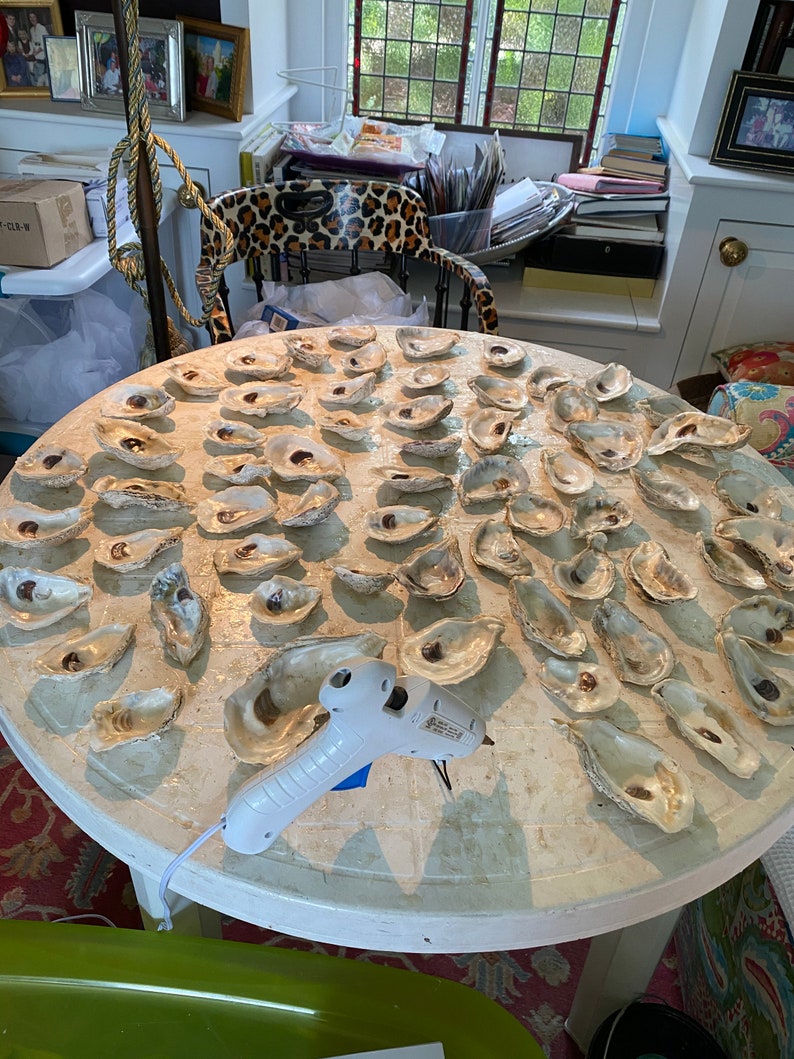 Oyster Shell Light Strand 20 Lights - Etsy