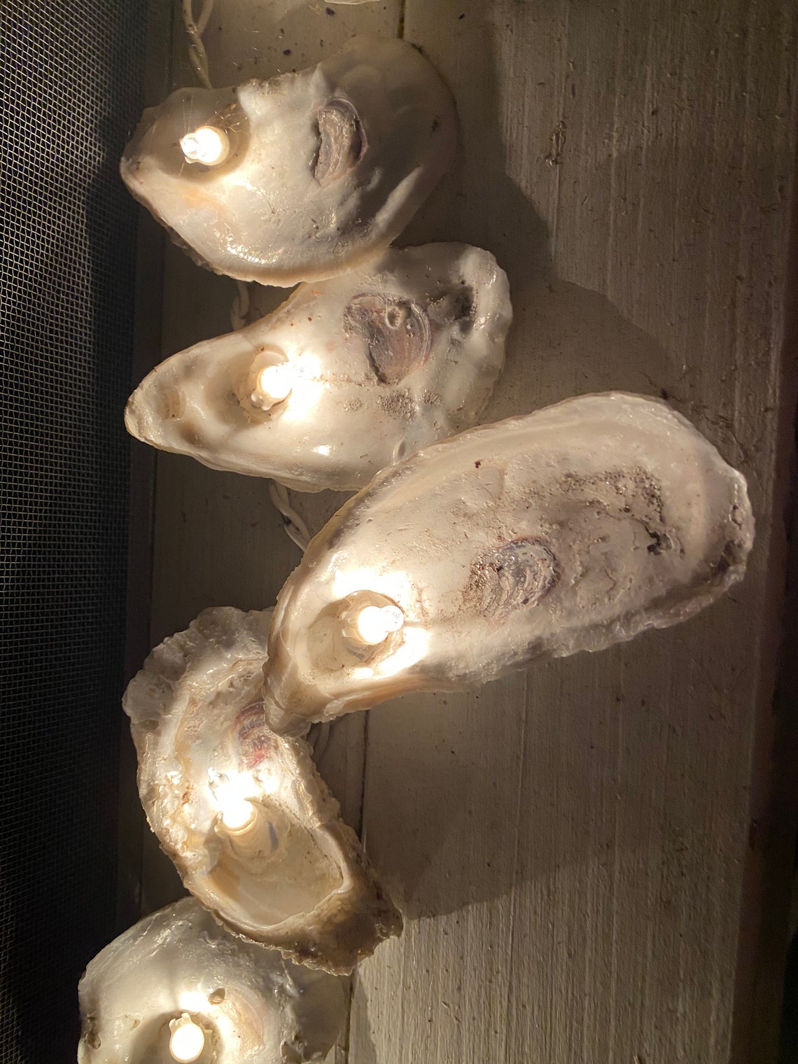 Oyster Shell Light Strand 15 Plug In - Etsy