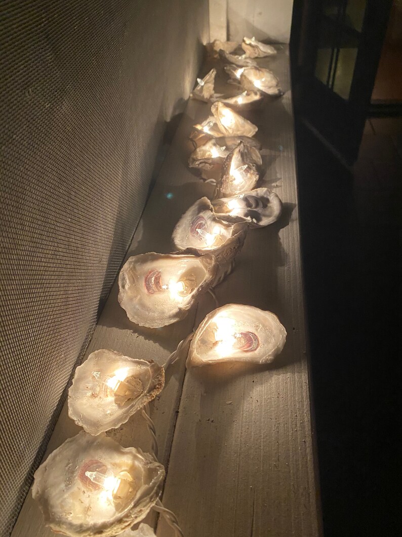 Oyster Shell Light Strand 15 Plug In - Etsy