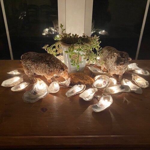 Oyster Shell Light Strand 20 Lights - Etsy