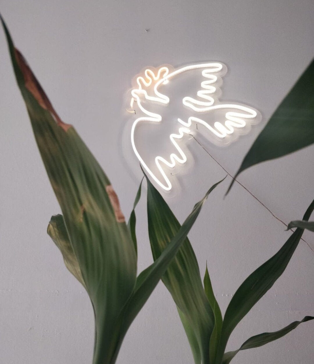 Dove Neon LED Picasso Design Lamp - Etsy