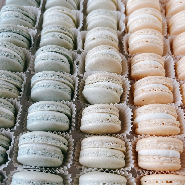 Macarons - Etsy