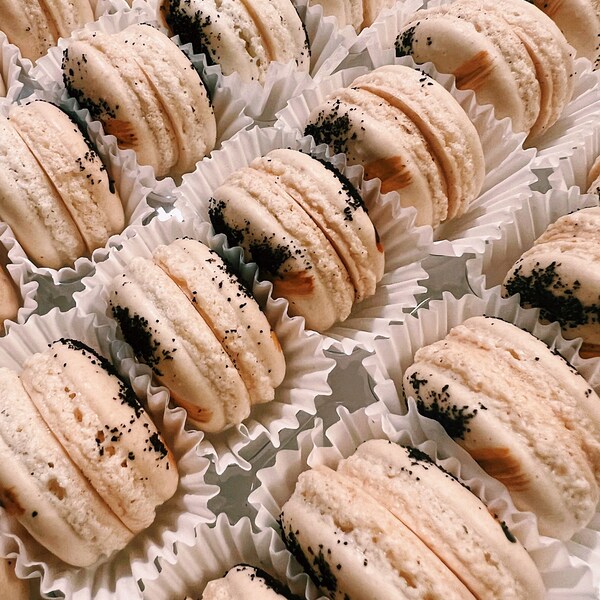 Abstract Shells - Etsy