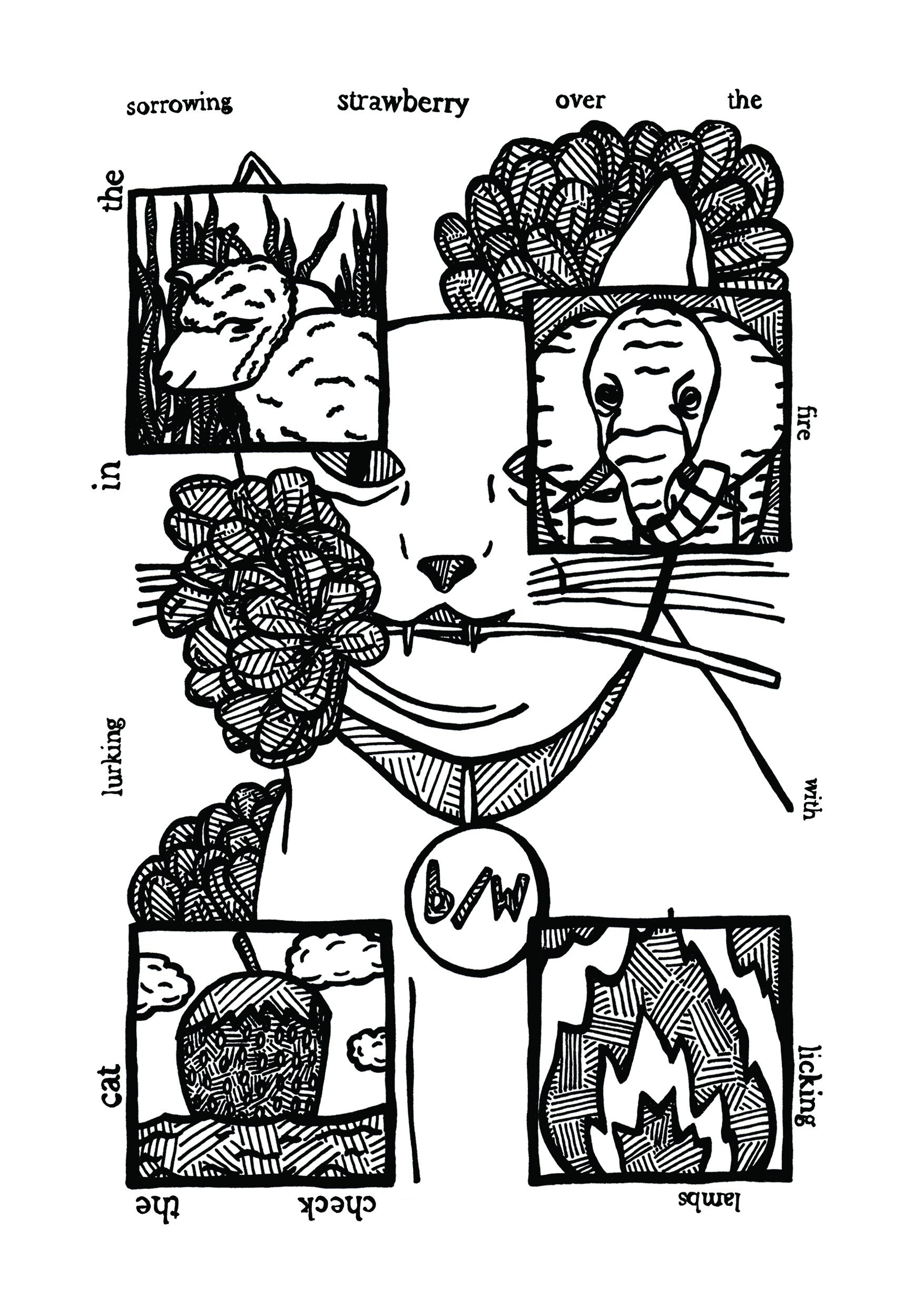 The Strangest Thankyou - Poems and Illustrations - 10th Anniversary ...