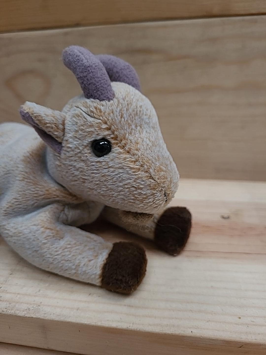 Retired TY Beanie Baby GOATEE the Goat Plush - Collectible - Etsy