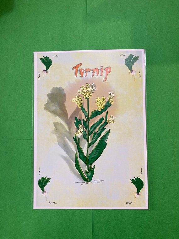 A4 Turnip Art Print Wall Decor Poster for Home Gift for | Etsy