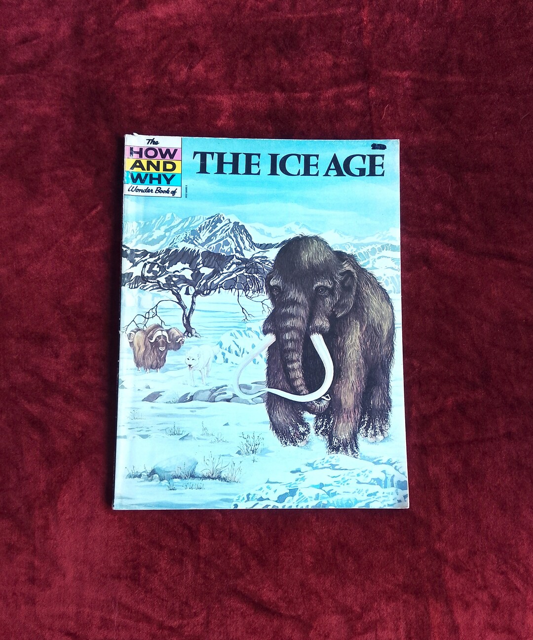 The Ice Age (1978) the How and Why Wonder Book Written by Roy Woodcock ...