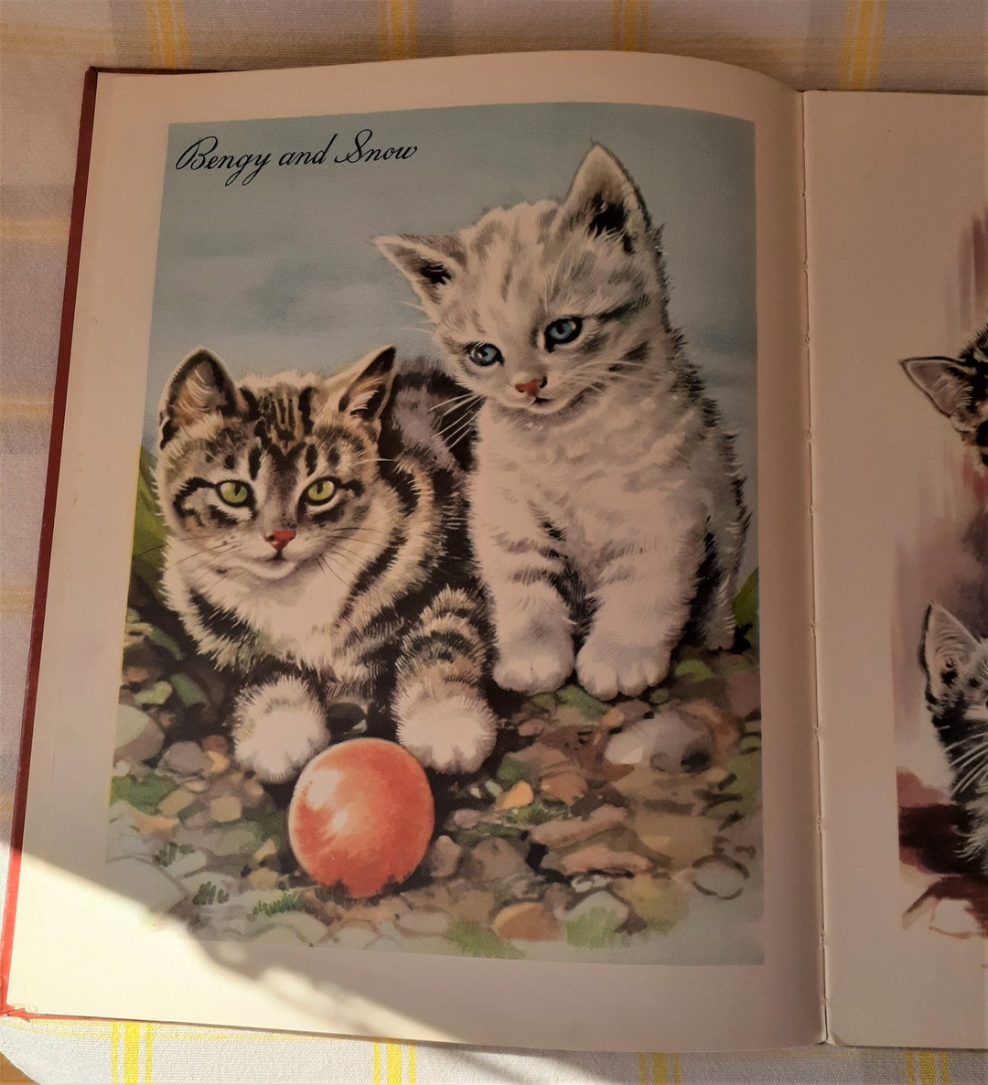 Calling All Kittens, Written and Illustrated by Winifred Martin ...