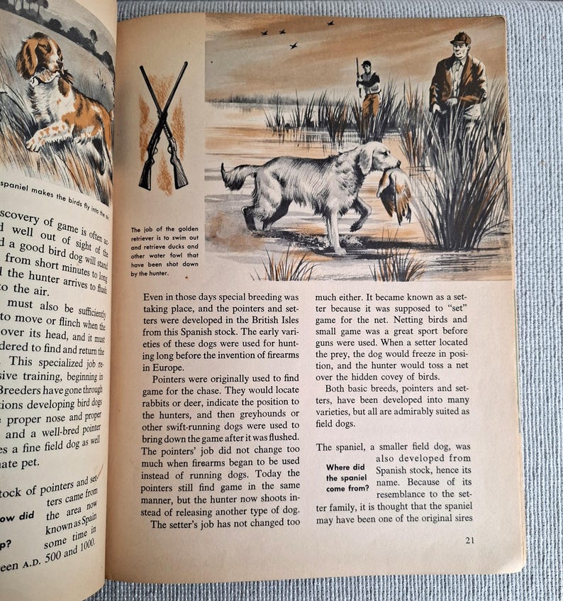 Book of Dogs 1962 by Irving Robbin, Illustrated by William Barrs ...
