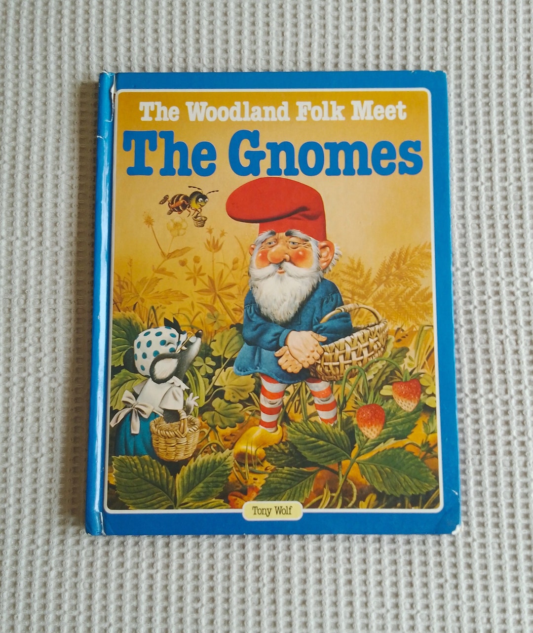 The Woodland Folk Meet the Gnomes (1983) by Tony Wolf, Published by ...