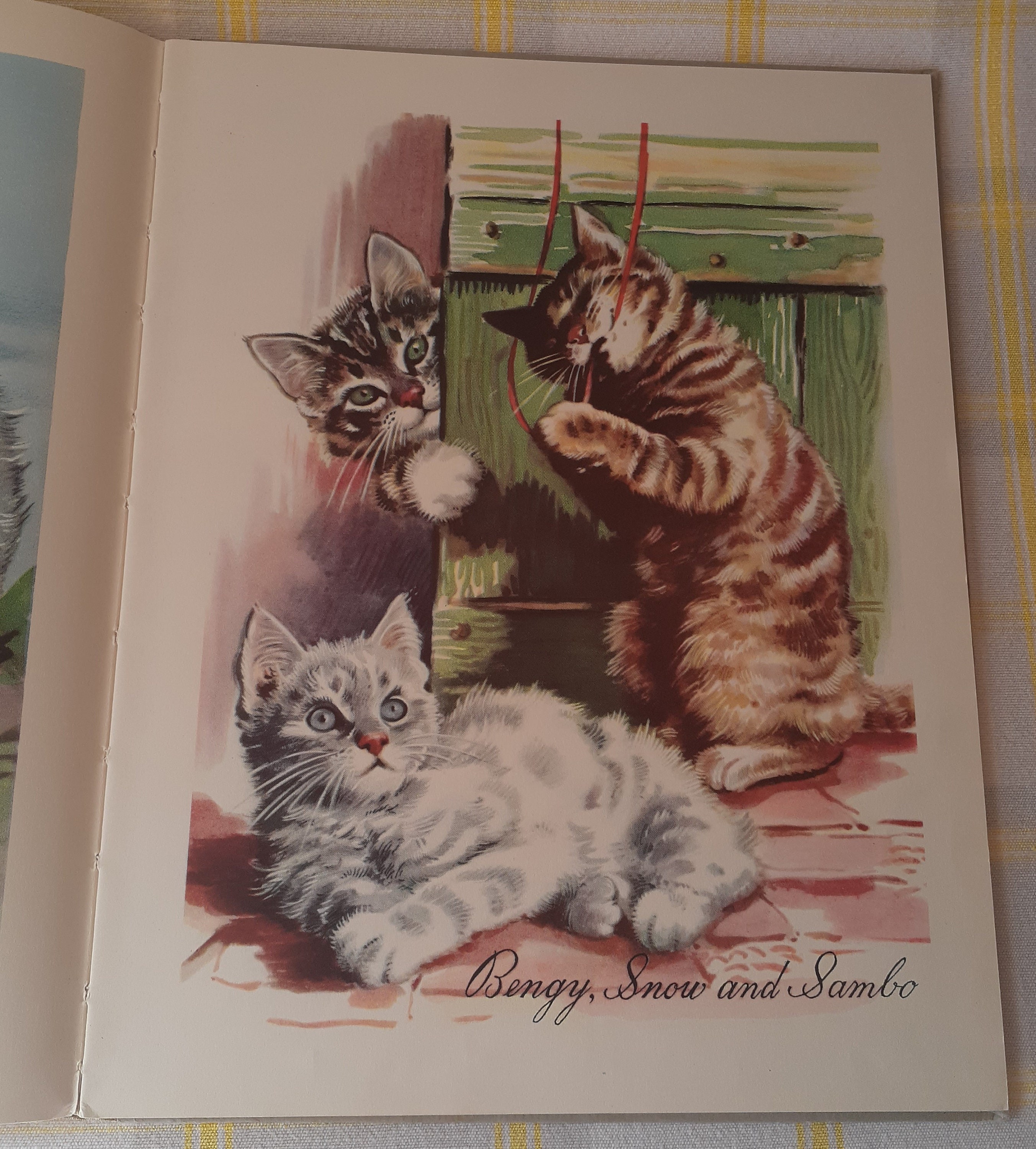 Calling All Kittens Written and Illustrated by Winifred - Etsy