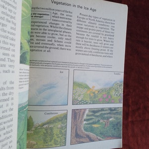 The Ice Age (1978) the How and Why Wonder Book Written by Roy Woodcock ...