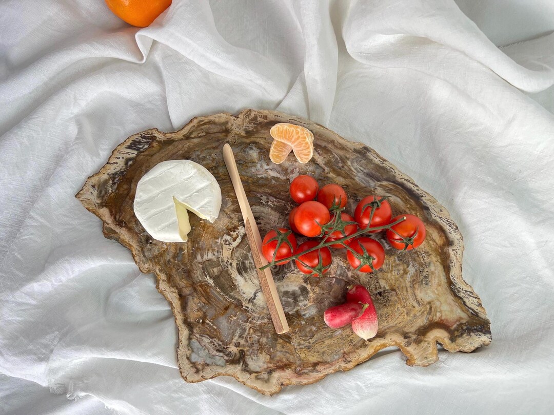 Petrified Wood Serving Board | Large Fossilized Wood Slab Tray ...