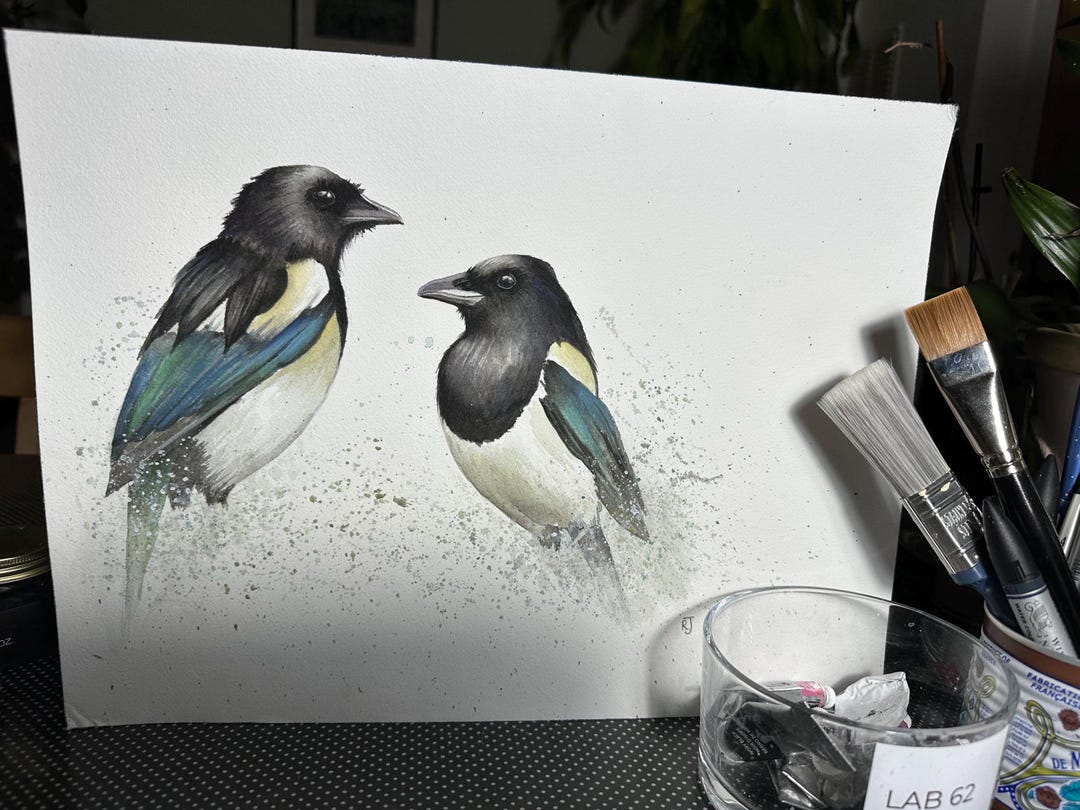 A3 Original Watercolour Corvids - Etsy