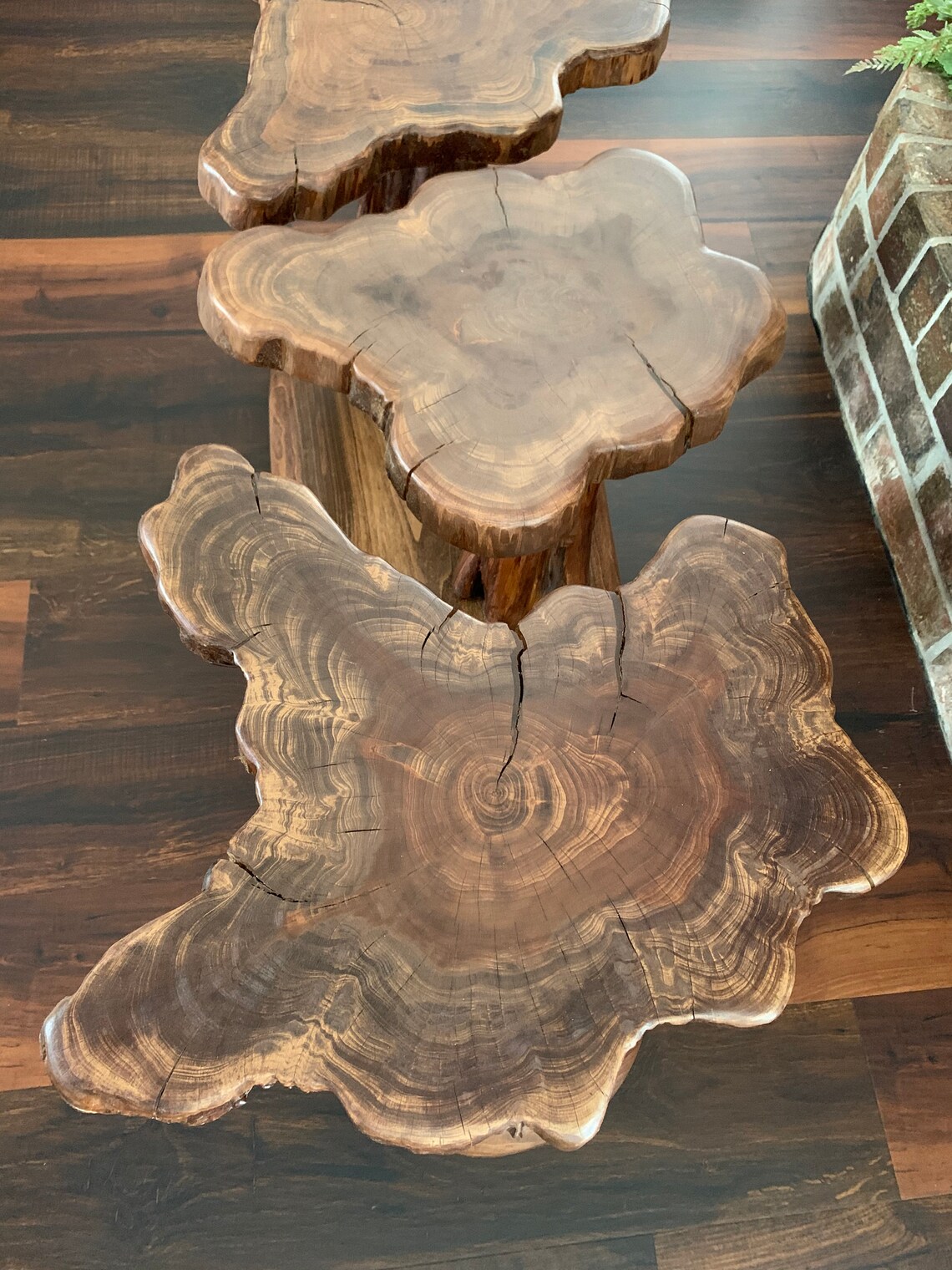 Cypress Forest Coffee Table - Etsy