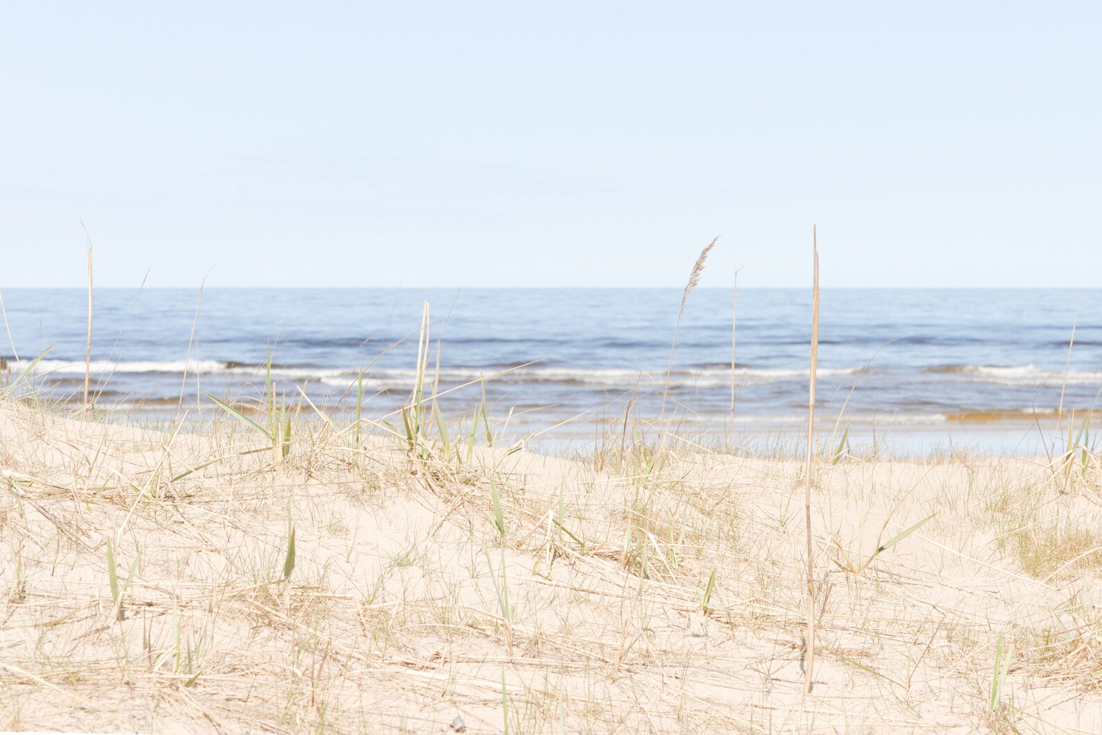 Neutral Beach Print Wall Art Boho Decor Coastal Wall Art | Etsy