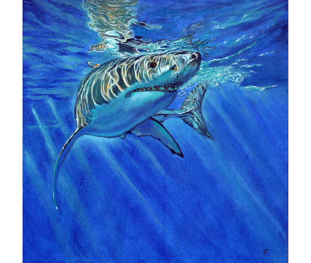 Shark Ocean Animal Painting Underwater Life Original Art Oil on Canvas ...