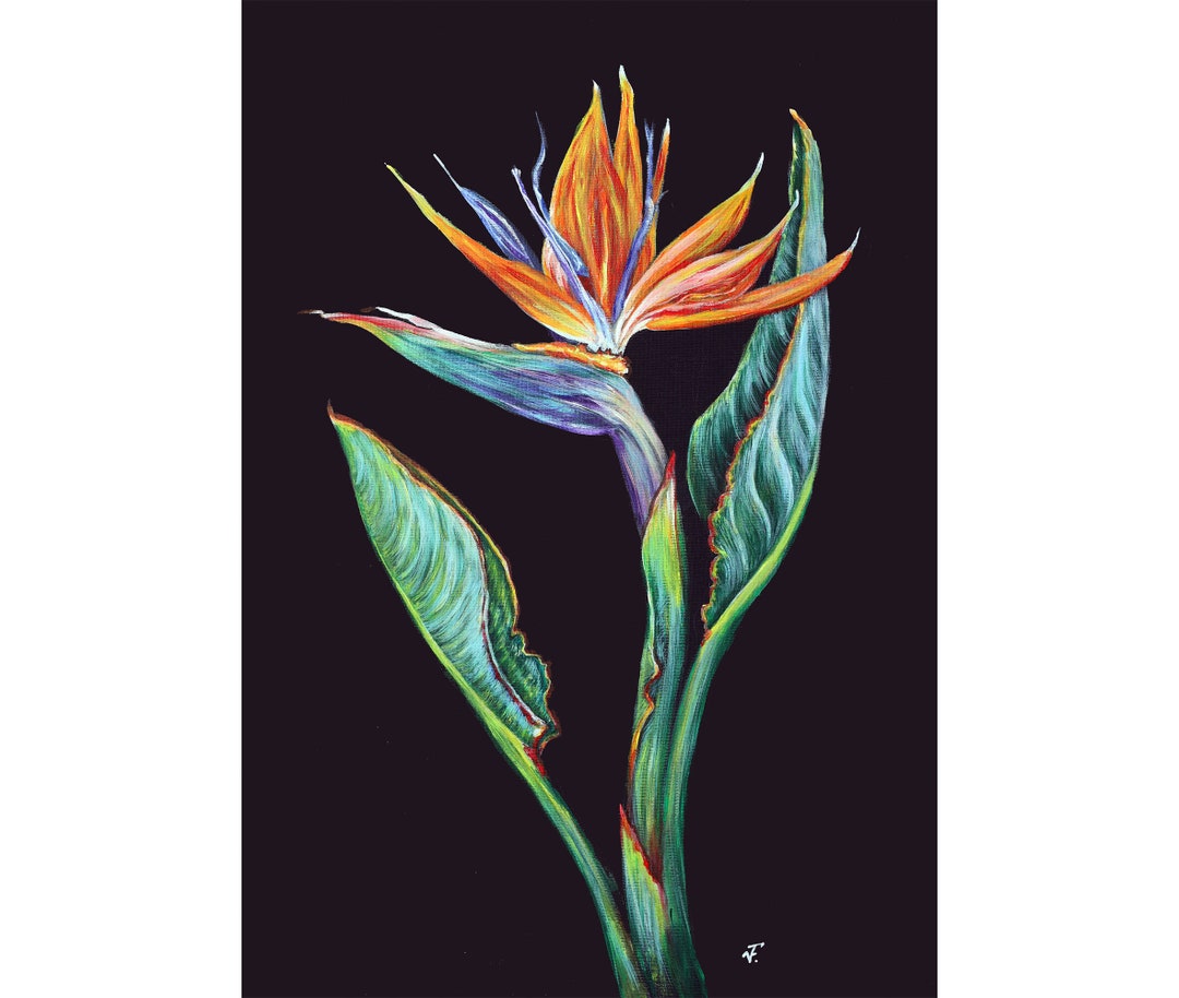 Strelitzia Flower Painting Botanic Plants Original 20 by 27.5 Inches ...