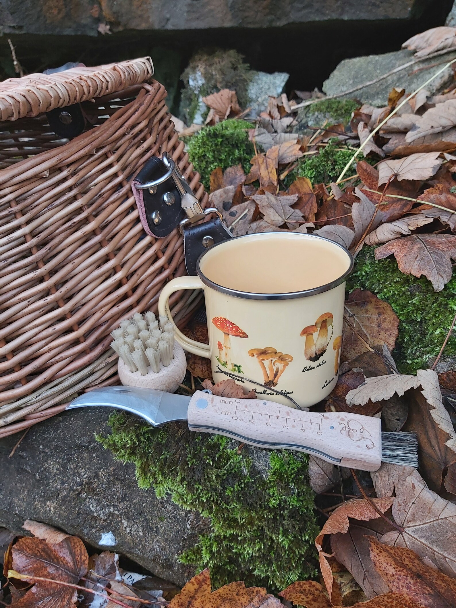 Mushroom Lover 4 Piece Gift Set Personalisable Mushroom - Etsy UK