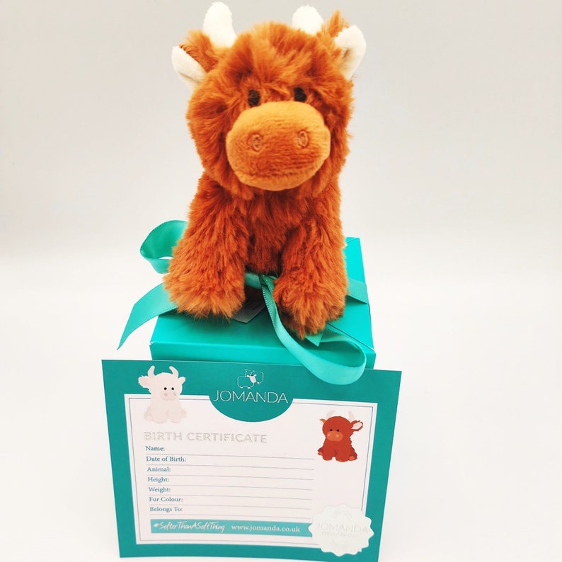 Mini Highland Cow Plush Soft Toy in Pop up Box CE/UKCA With Cute Birth ...