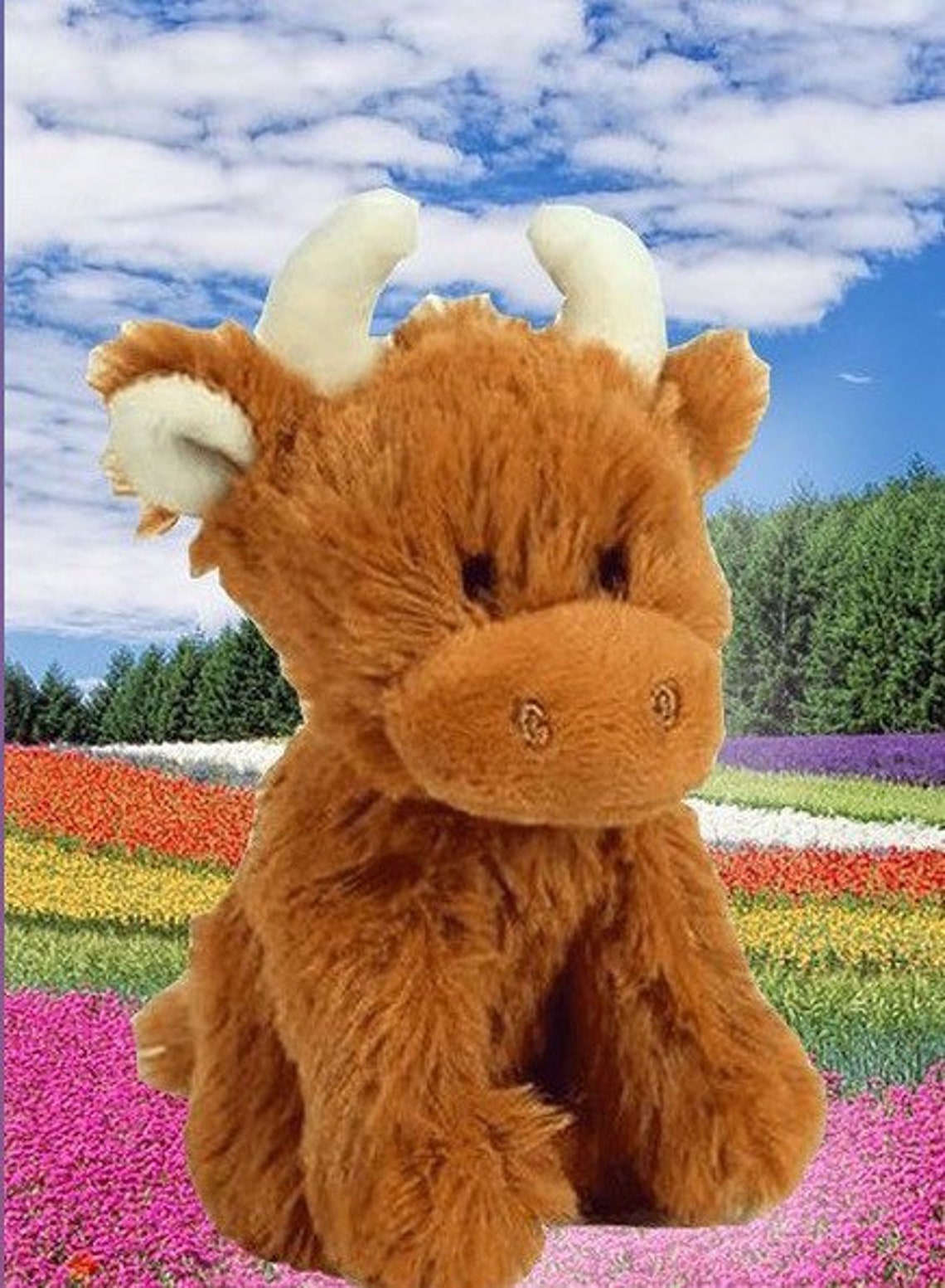 Mini Highland Cow Plush Soft Toy in Pop up Box CE/UKCA - Etsy