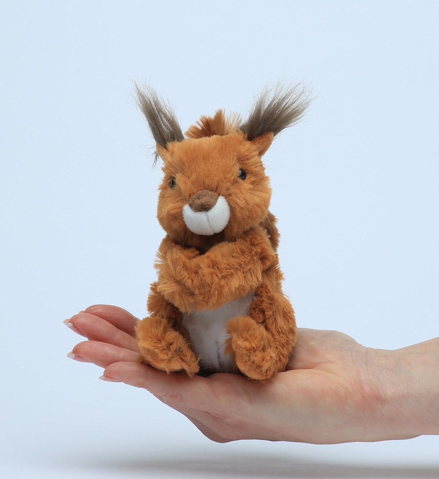 Personalised Mini Squirrel Plush Soft Toy in Pop up Box CE/UKCA - Etsy