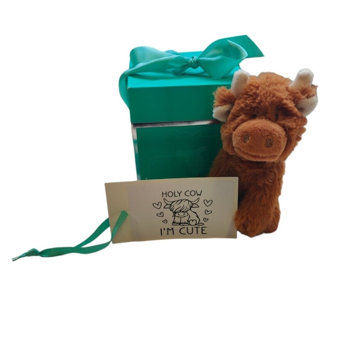 Mini Highland Holy Cow I'm Cute Plush Soft Toy in Pop up Box CE/UKCA - Etsy