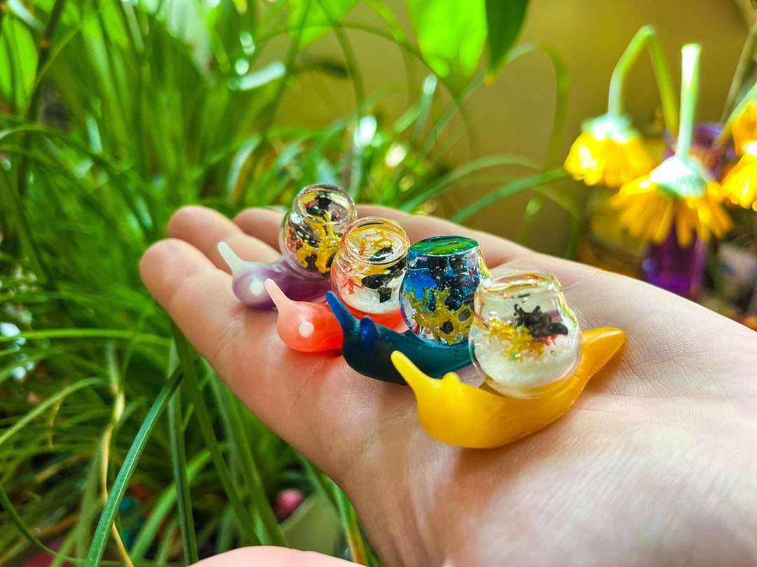 Aquarium Decorative Snails - Etsy