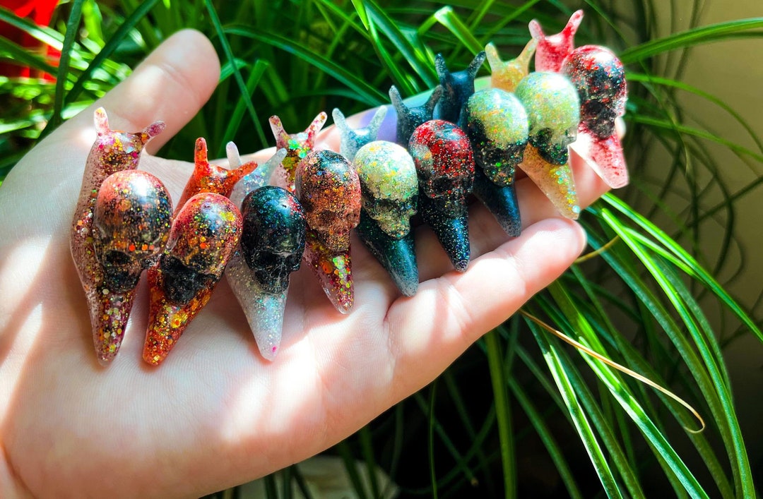 Medium Mystery Skull Snails - Etsy