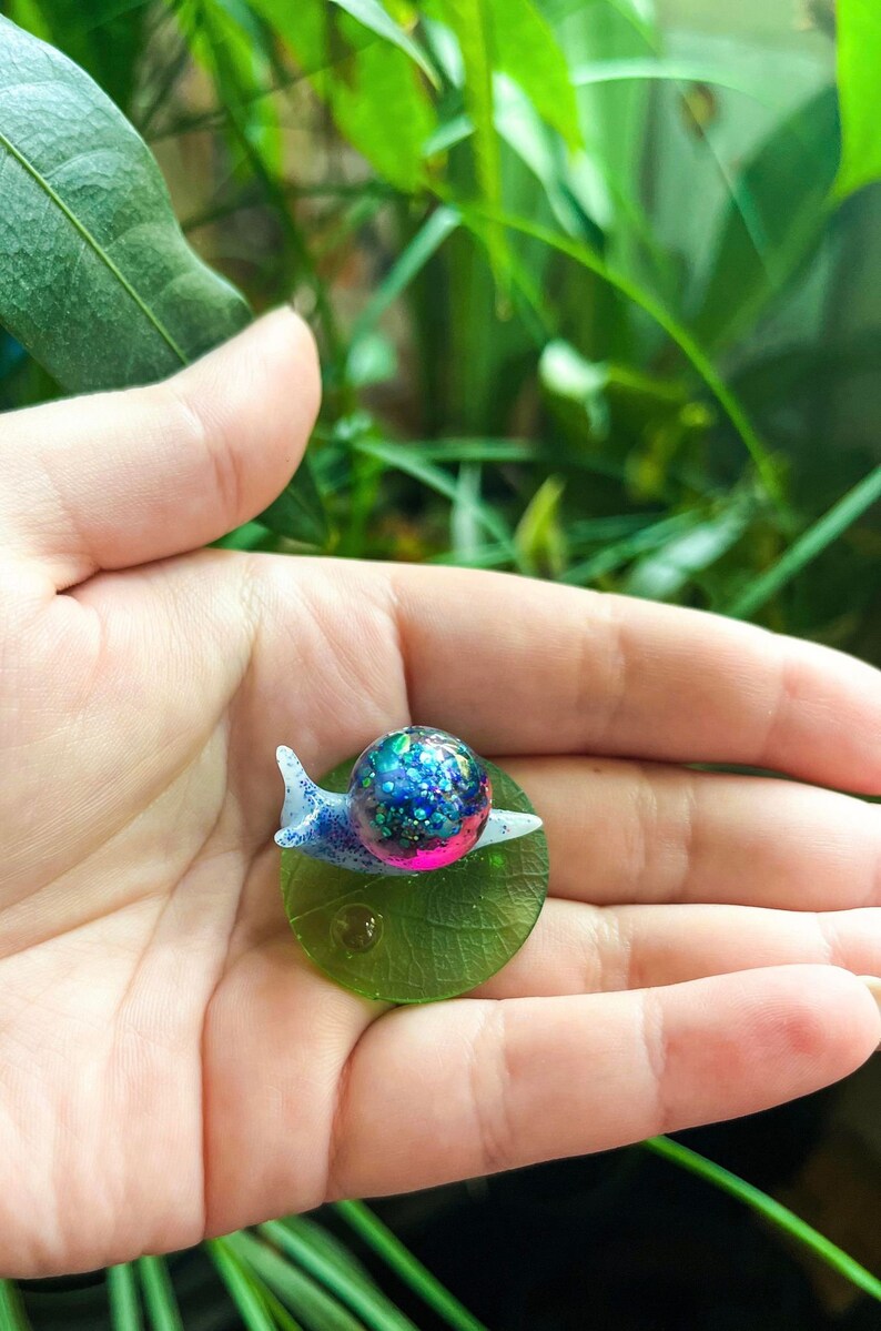 Rainbow Snails on Leaf Bases - Etsy
