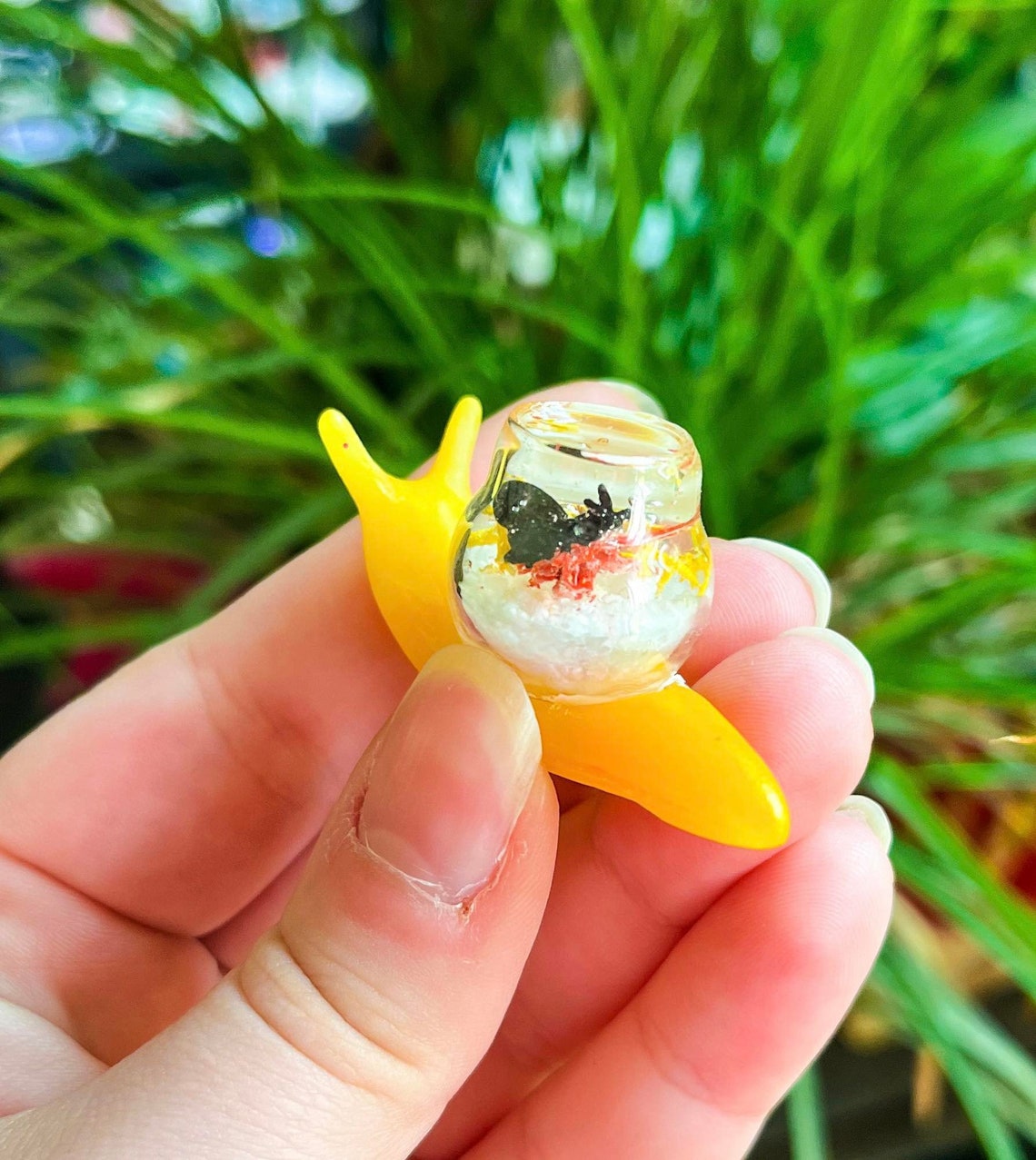 Aquarium Decorative Snails - Etsy