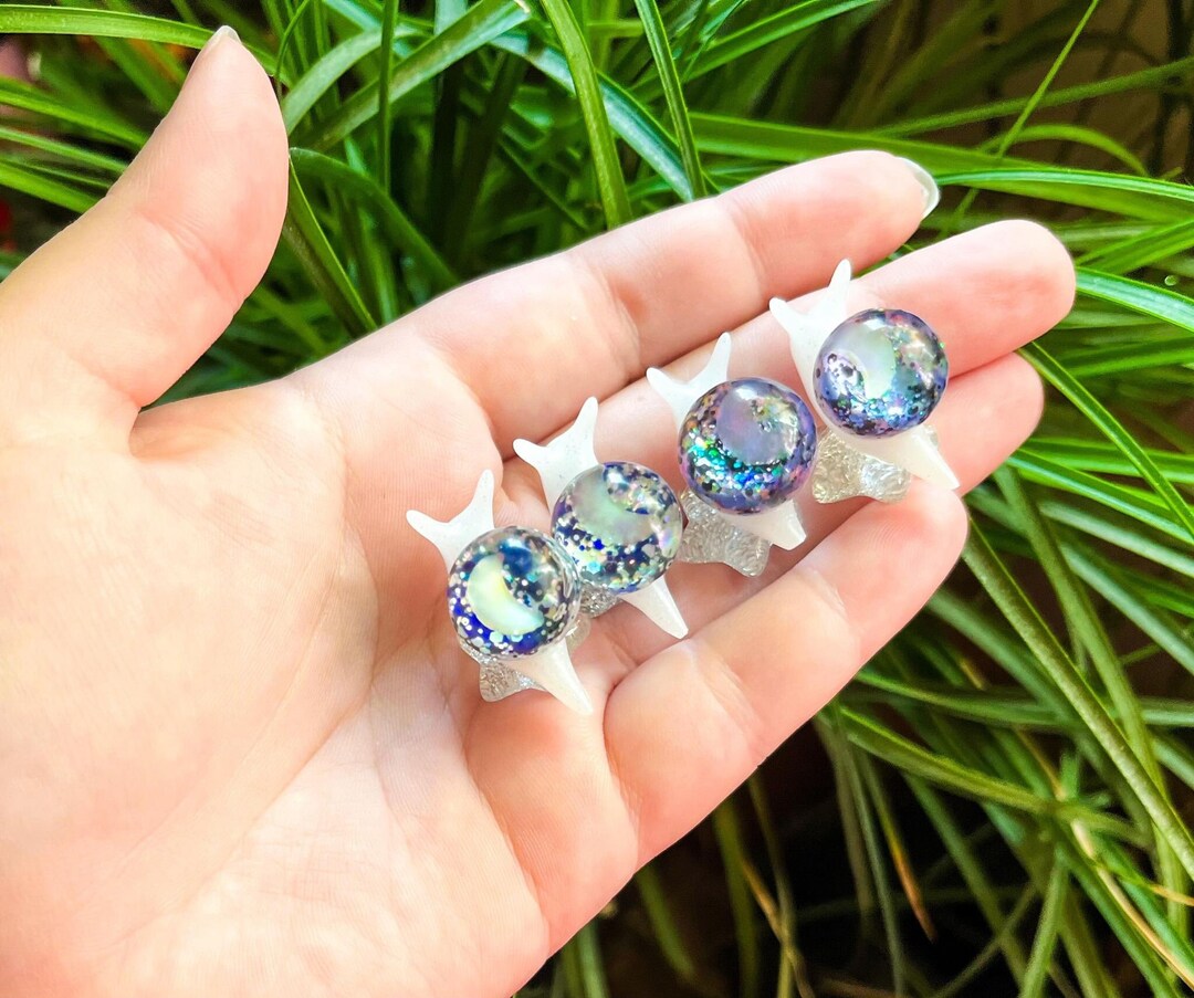 Half Moon Snails - Etsy