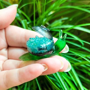 Cauldron Snails - Etsy