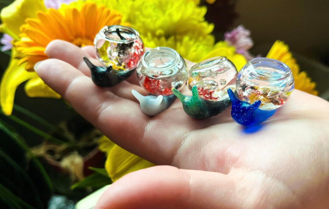 Aquarium Decorative Snails - Etsy