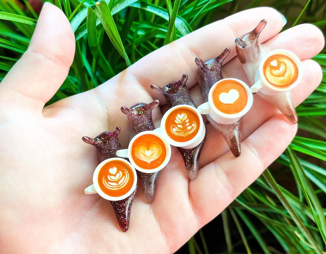 Latte Coffee Snails 2 - Etsy