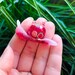 Fruit Punch Snails - Etsy