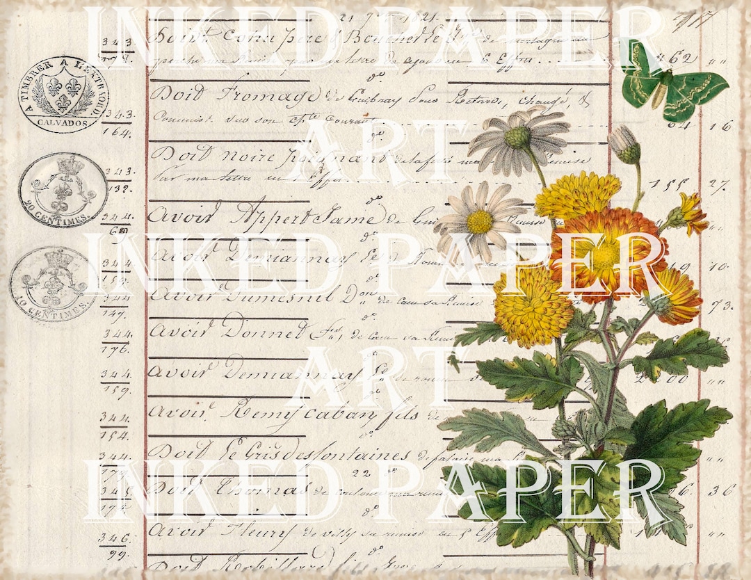Antique French Botanical Field Notes Digital Paper Kit Ephemera Junk ...