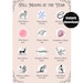 Full Moons of the Year Poster | Printable A4 Poster | Digital Download ...