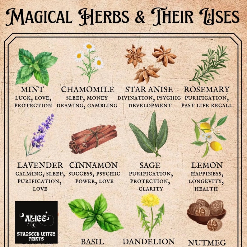 Magical Herbs Printable Poster | Digital Download | Kitchen Witch Decor ...
