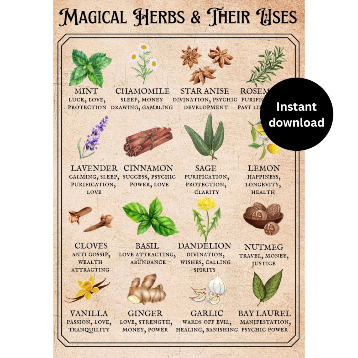 Magical Herbs Printable Poster: Kitchen Witch Decor (digital Download ...