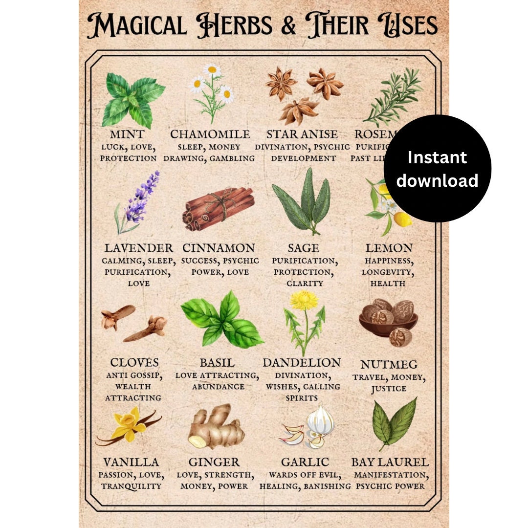 Magical Herbs Printable Poster | Digital Download | Kitchen Witch Decor ...
