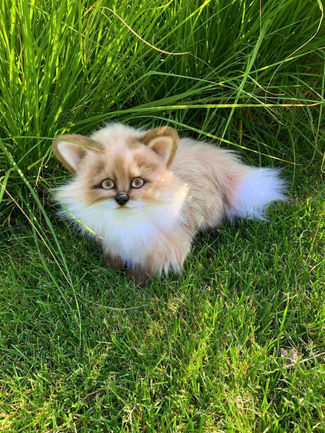 Ooak Plush Fox, Custom Realistic Stuffed Fox Animal, Cute Plushie, Gold ...